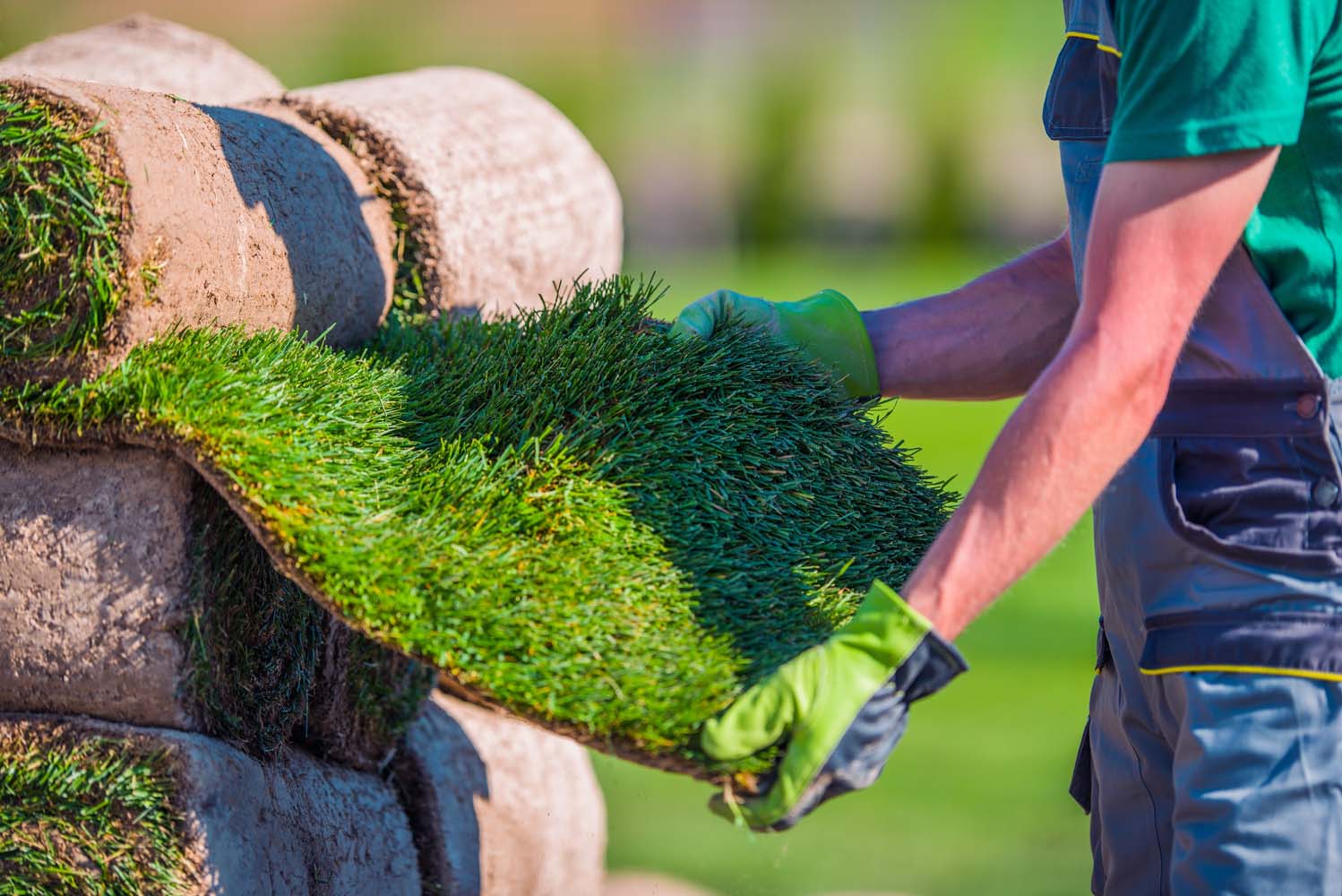Yard cleanup - Savanna's Landscaping